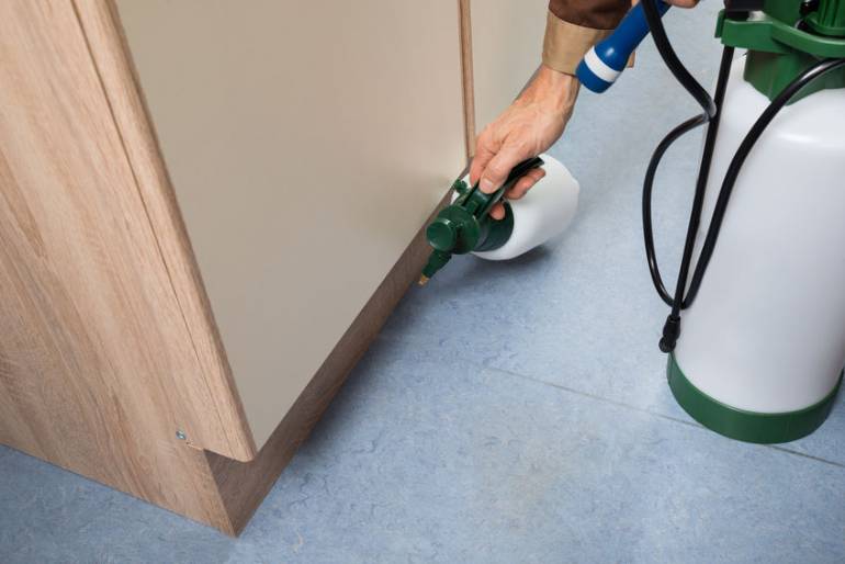How do I get rid of pests in my home?