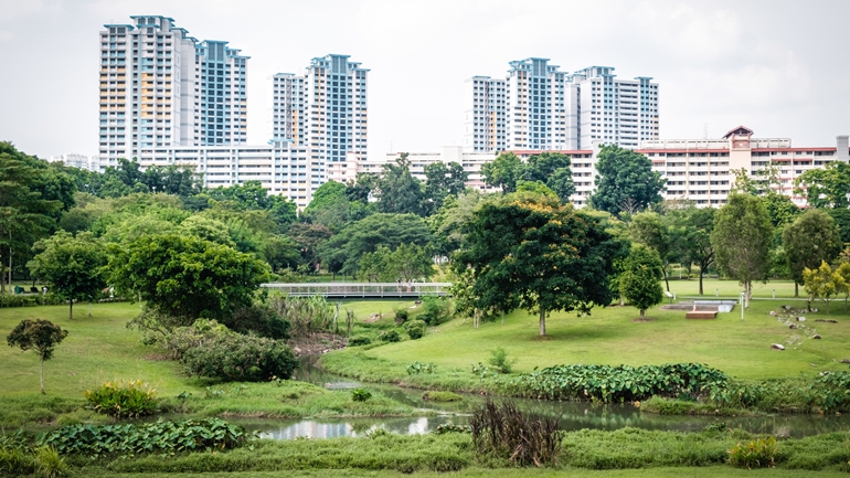 Battle of the Big Flats: Maisonette, Jumbo Flat, Executive Flat, 3Gen ...