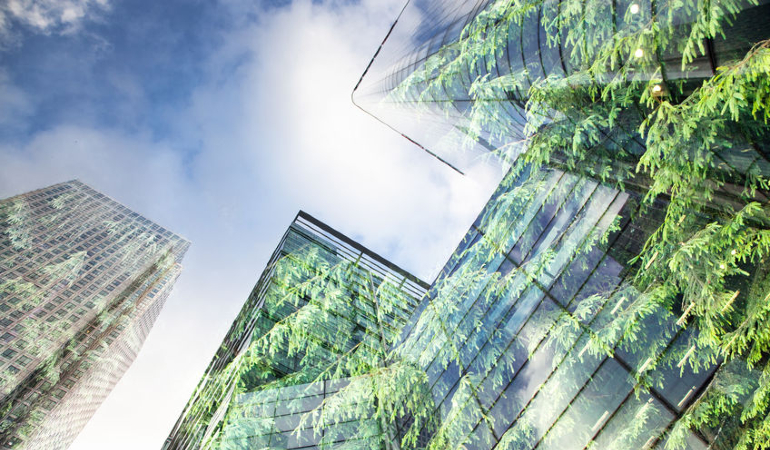 Natural Solutions: Are They Suitable Property Solutions For Climate Change?