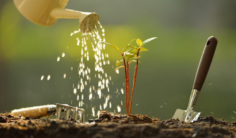 7 Easy Ways To Make Your Lifestyle And Living Space More Sustainable